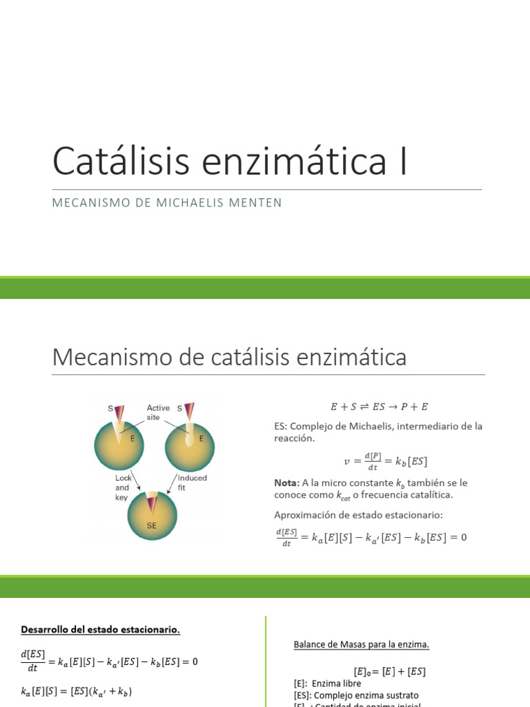 Mecanismo de Michaelis-Menten en Catálisis | PDF | Enzima | La cinética ...