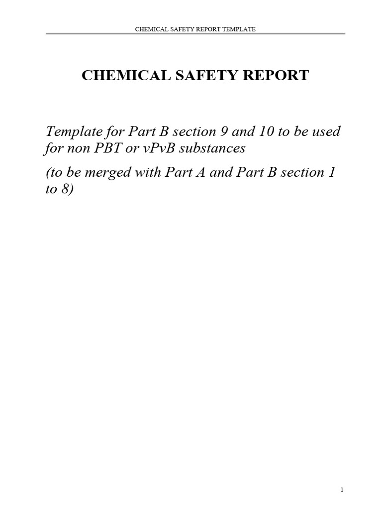 Chemical Safety Report Format en | PDF | Risk | Water