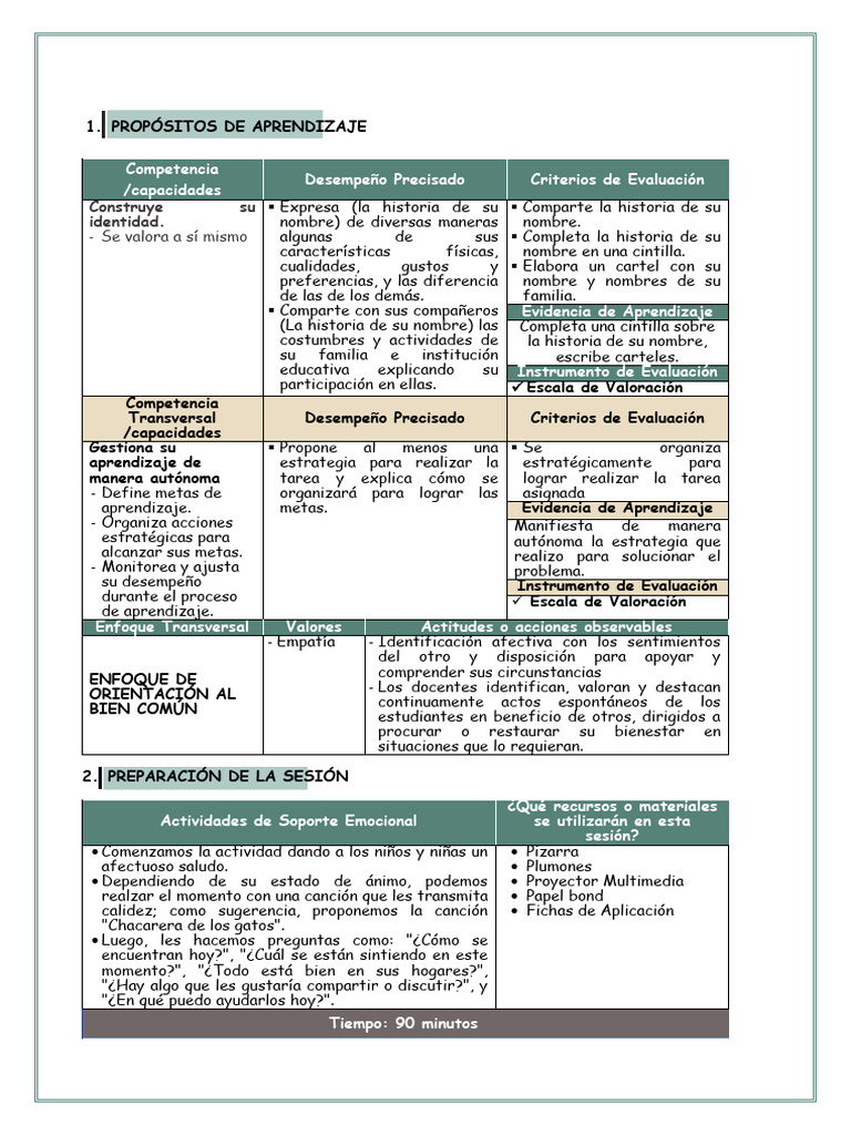 1° - SESION Ps Historia de Mi Nombre | PDF | Evaluación | Aprendizaje