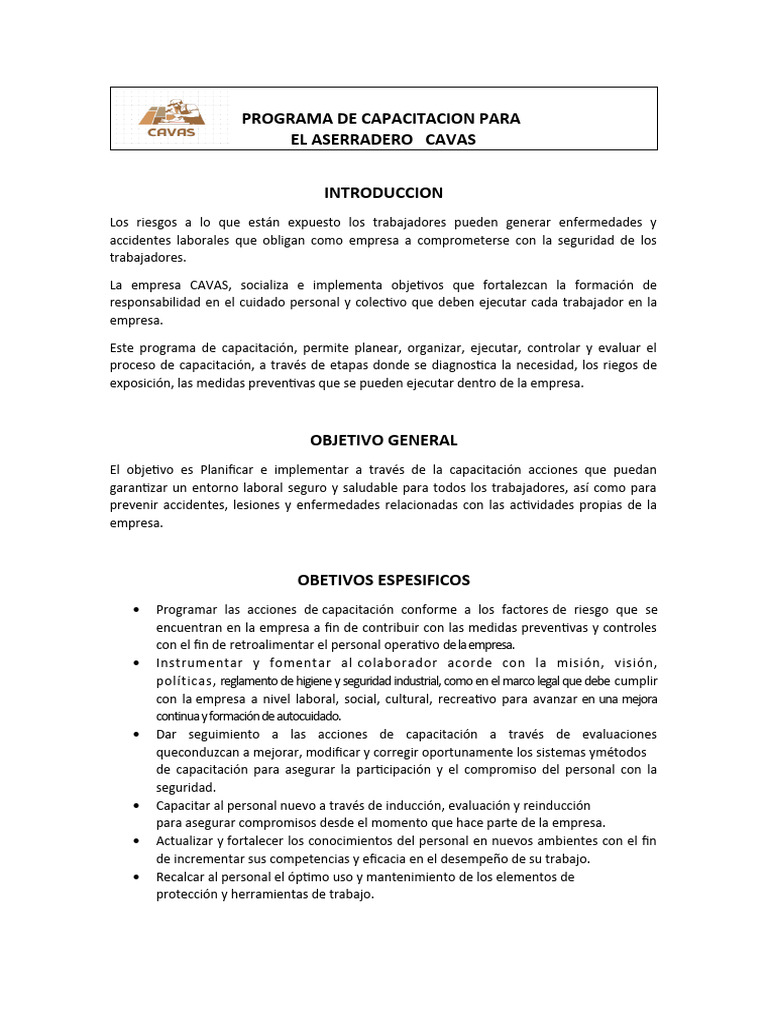 Programa de Capacitacion | PDF | Business | Creación de capacidad