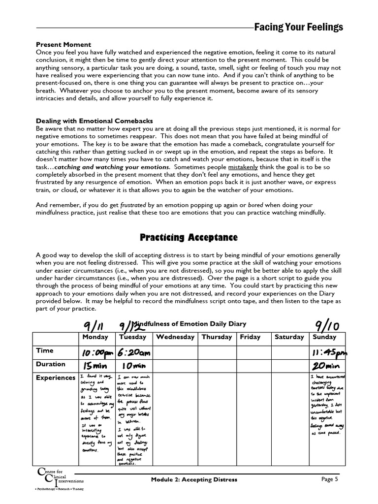 Mindfulness Diary | PDF | Mindfulness | Emotions