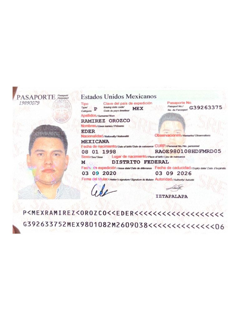 Pasaporte | PDF