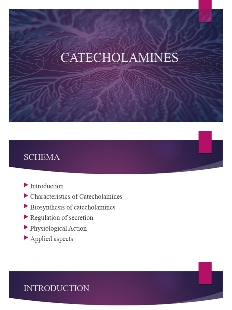 Catecholamines | PDF | Adrenal Gland | Norepinephrine