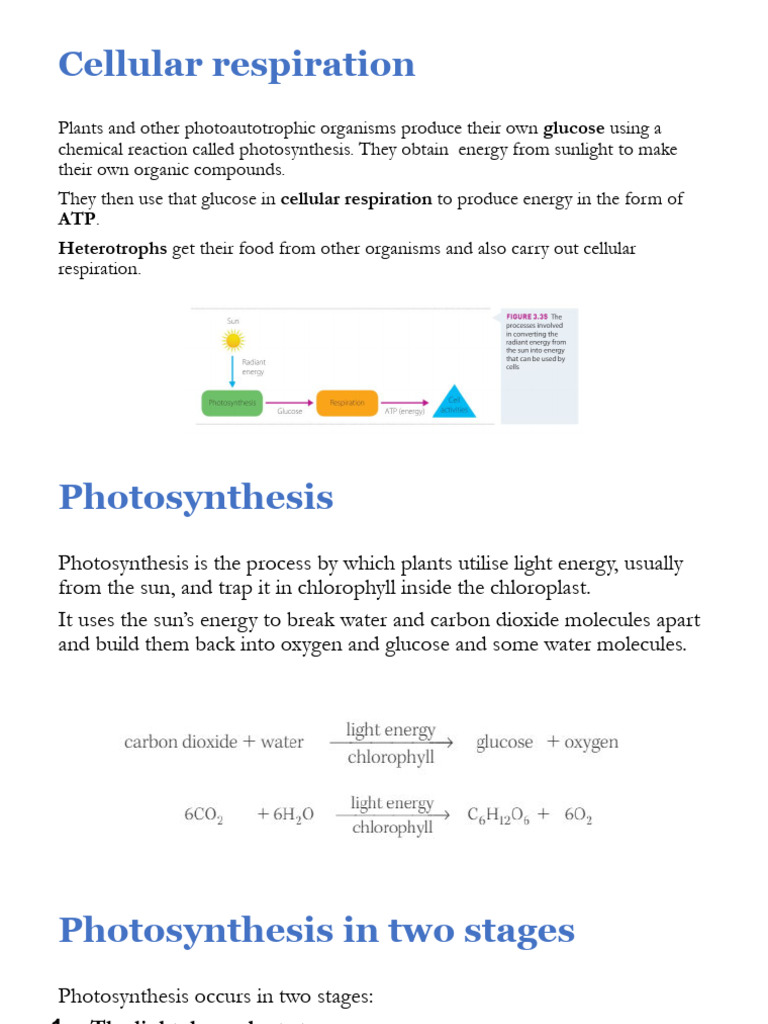 Respiration Powerpoint | PDF | Cellular Respiration | Photosynthesis