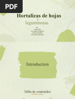 Ficha Tecnica Del Maxiseal Flex | PDF | Agua | Hormigón