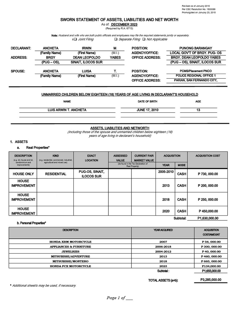 2015 SALN Form | PDF | Economies | Financial Accounting