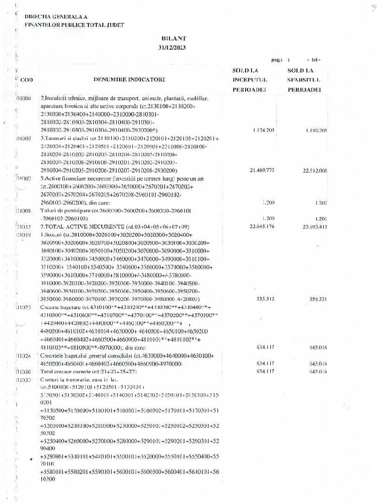 Bilant Contabil La 31.12.2023 | PDF
