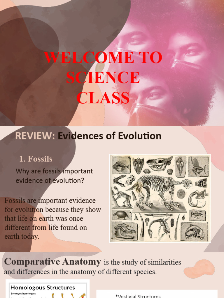 Theories of Evolution | PDF | Evolution | Natural Selection