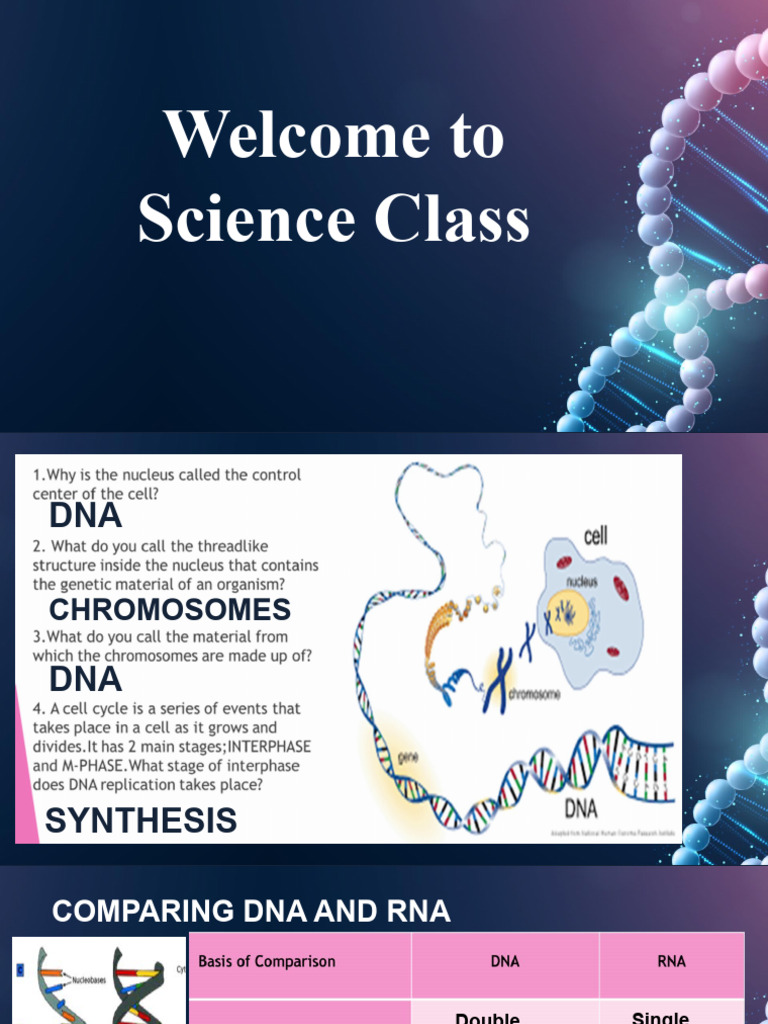 DNA Replication | PDF | Dna Replication | Dna