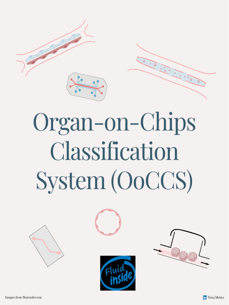 Organ On Chips Classification System OoCCS 1711289385 | PDF | Biology | Cell Biology