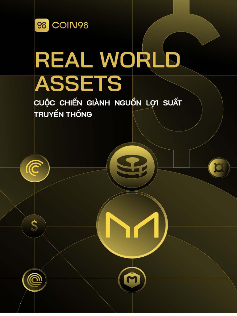 Rwa Report 2023 | PDF