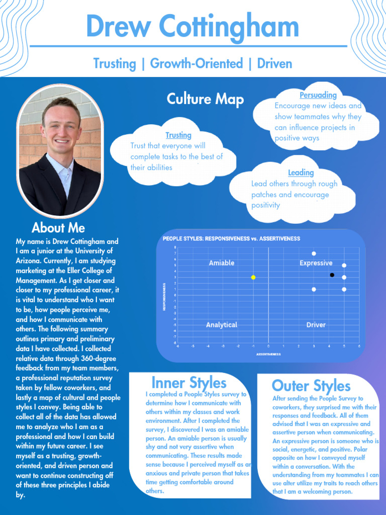 Professional Persona Executive Summary Cottingham Drew (1) | PDF ...