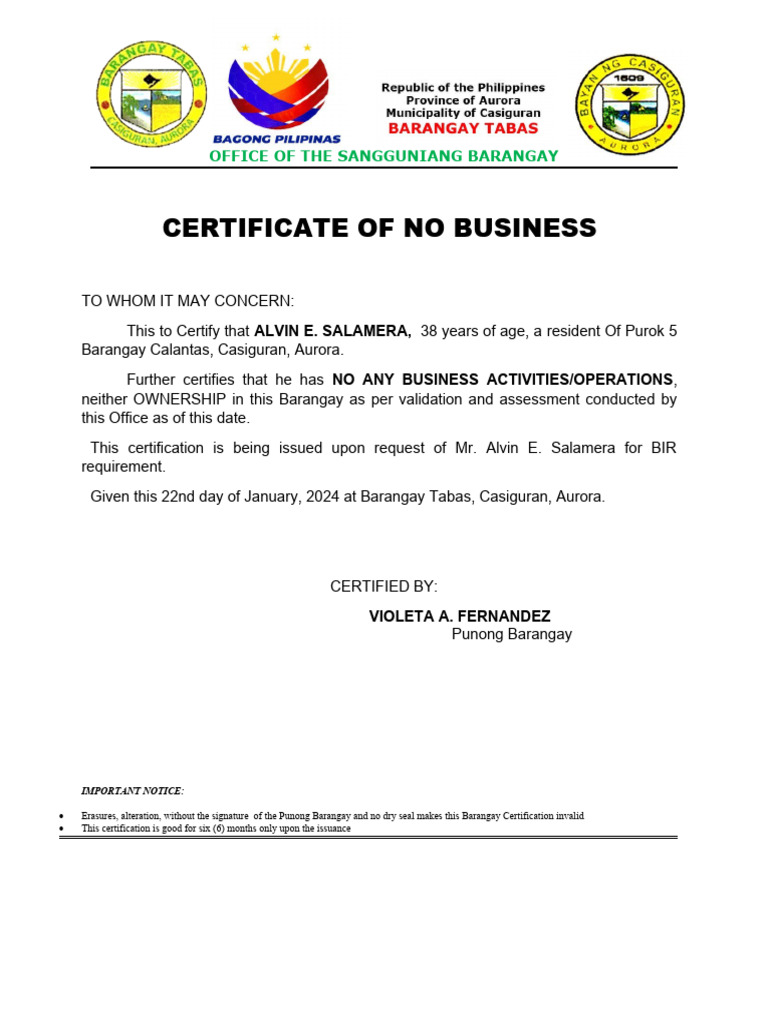 Certificate of No Business Operation | PDF