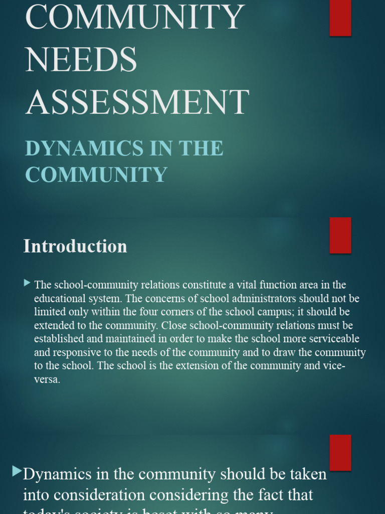 COMMUNITY NEEDS ASSESSMENT | PDF | Information | Community