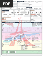 Fiche Bilan Pompier | PDF | Hôpital | Médecine
