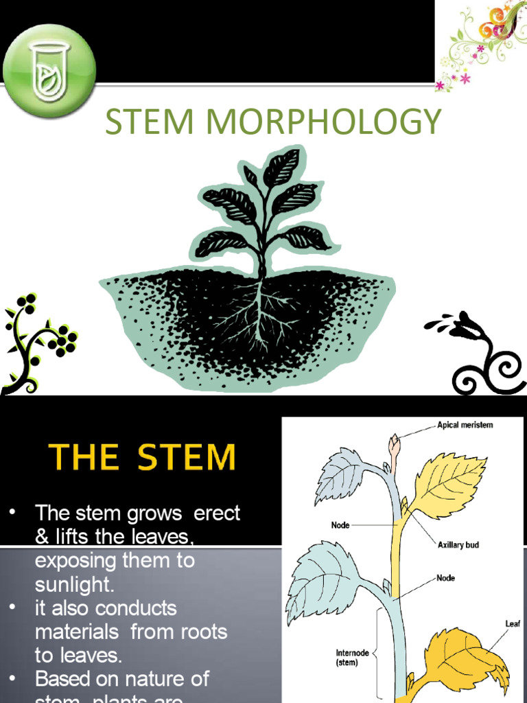 Chapter 5 Part 1 | PDF