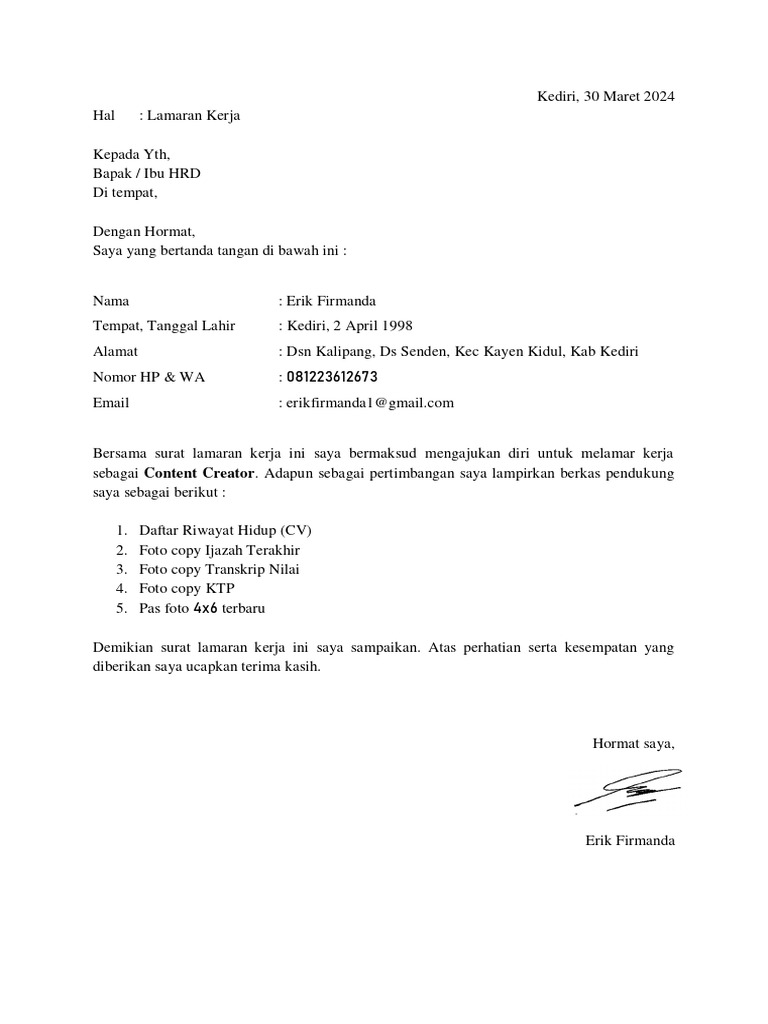 CV Erik Content Creator | PDF