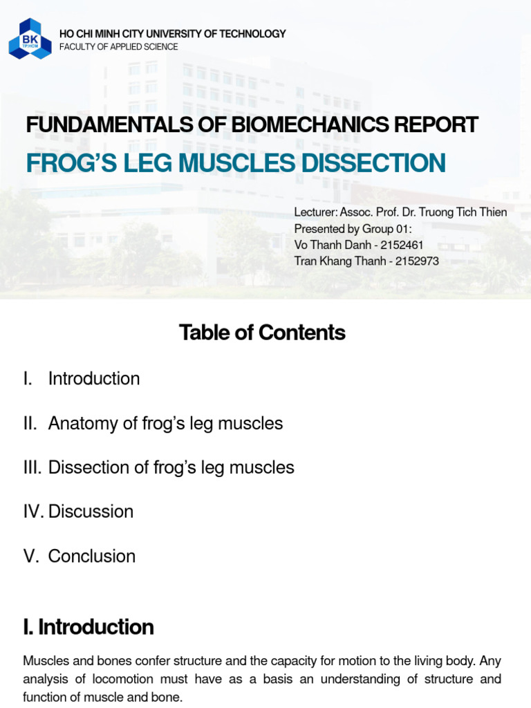 Frog Leg Muscles Dissection Report | PDF | Anatomy | Frog