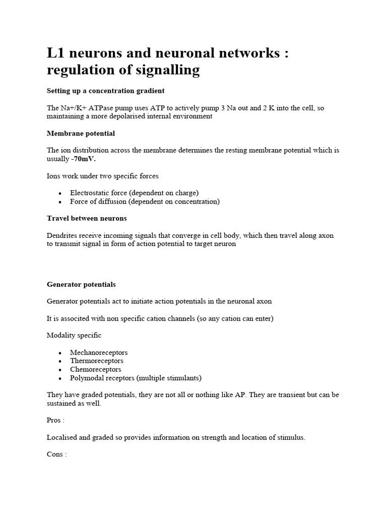 L1 Neurons and Neuronal Networks | PDF | Inhibitory Postsynaptic ...
