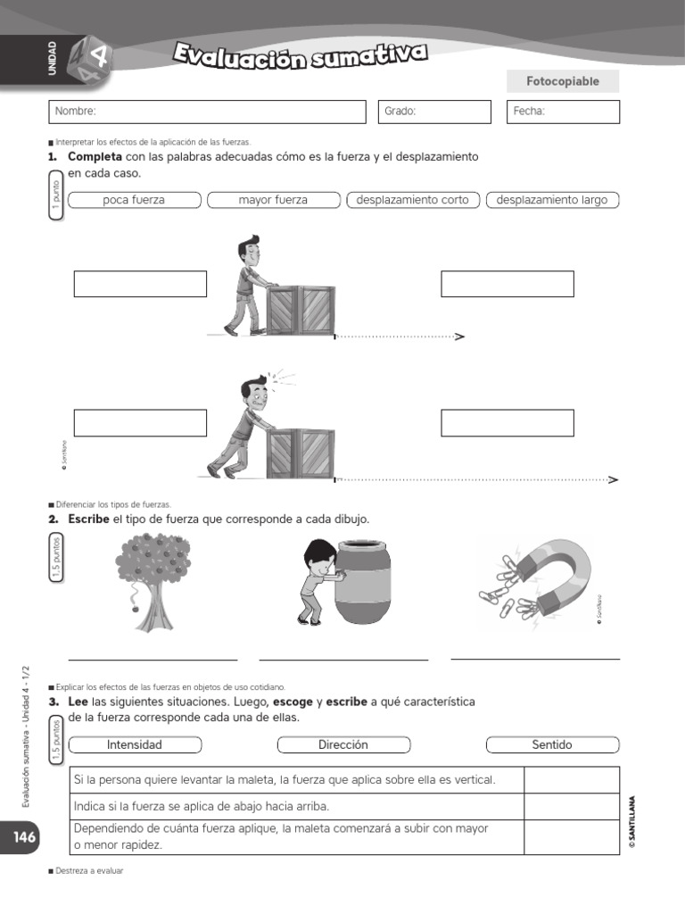 Stem 5 G U4 Ev Sumativa | PDF