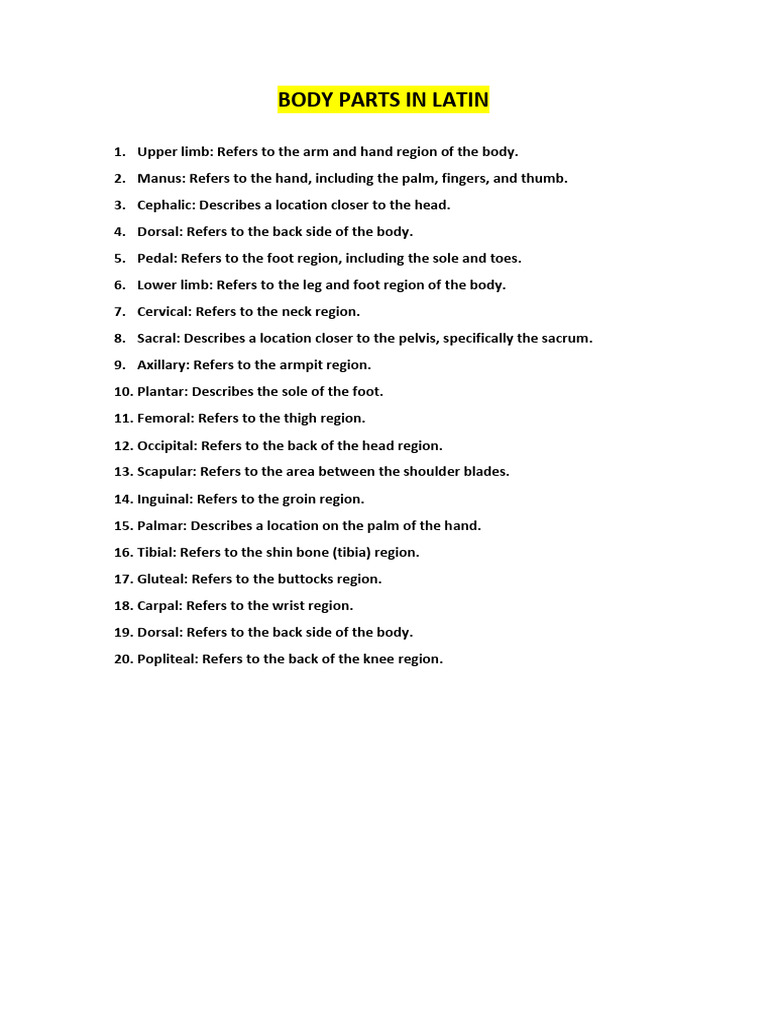 Body Parts in Latin and Quiz With Answers | PDF | Human Leg ...
