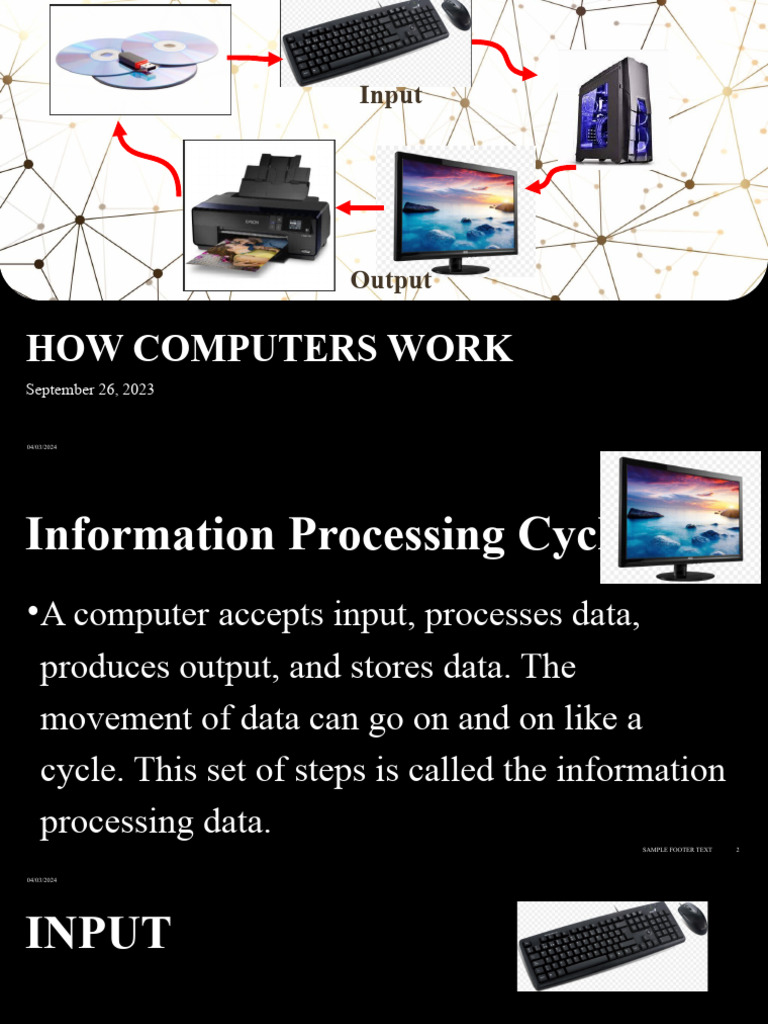 Computer Basics for Beginners | PDF