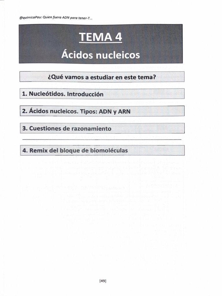 Tema 4. Ácidos Nucleicos | PDF