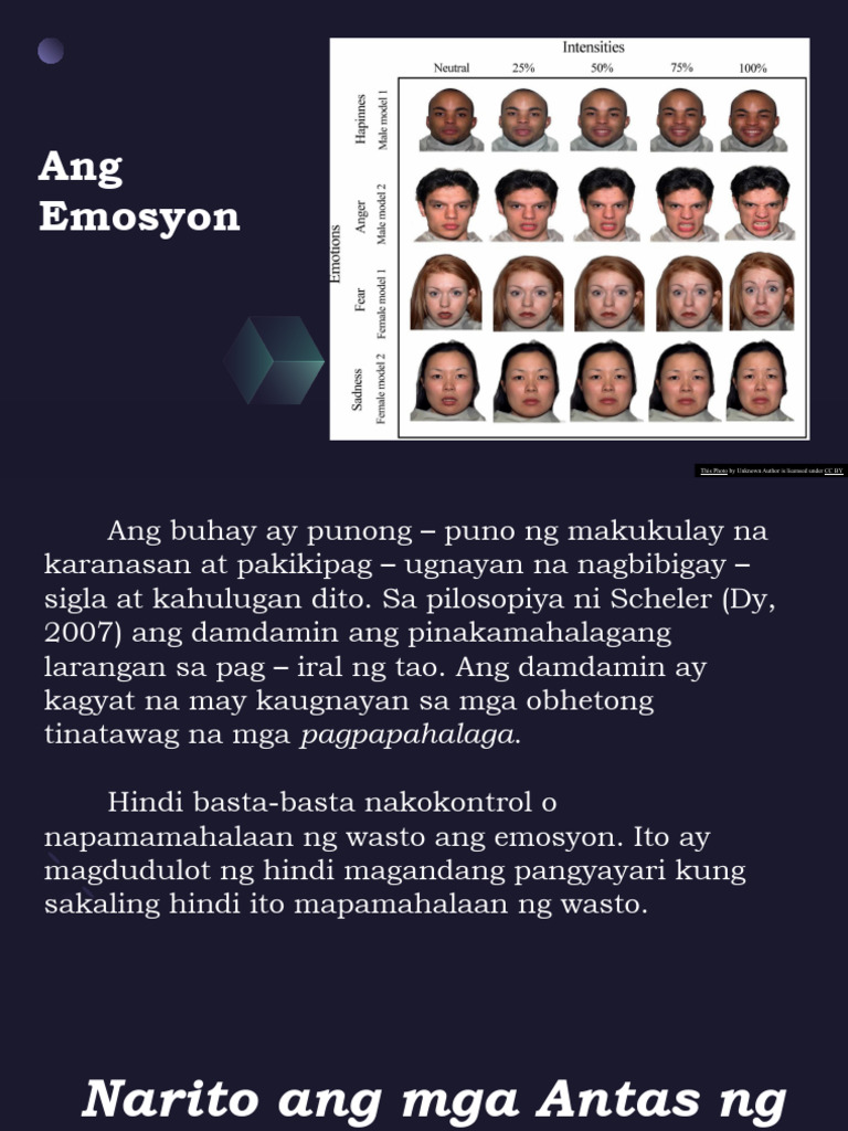 Ang Emosyon | PDF