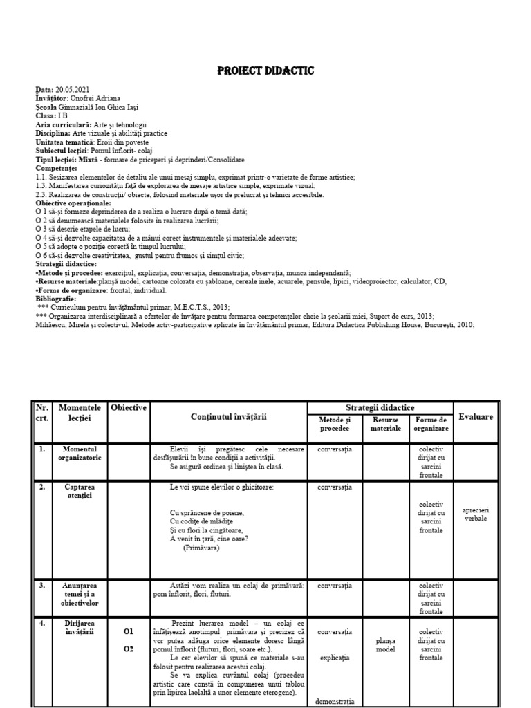 Proiect AVAP Onofrei Adriana | PDF
