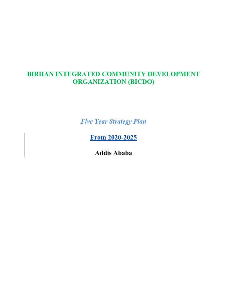 BICDO Strategic Plan Final 12.24.30 PM | PDF | Cost Of Living | Millennium Development Goals
