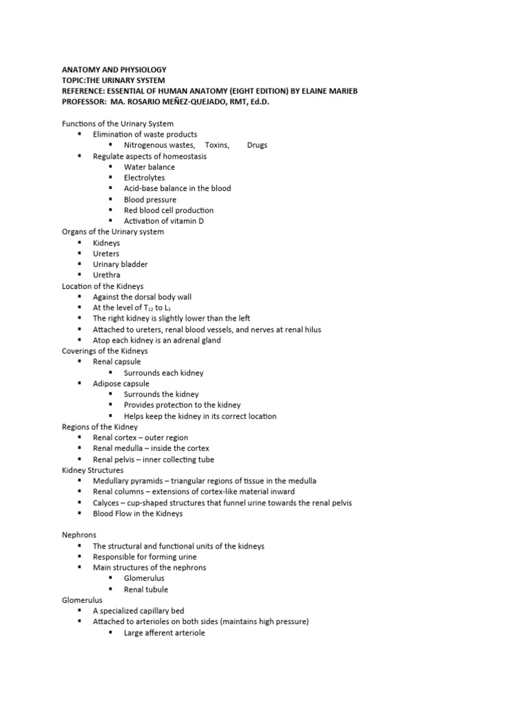 Module 25 Handouts Urinary System | PDF | Kidney | Urinary System