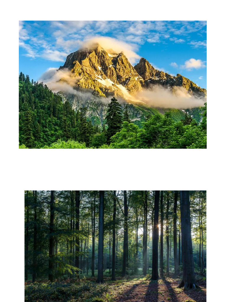 Flashcard Story - Level 1 - Unit 2 - Farm Animals | PDF