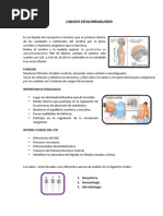 Transaminasas - TGO, TGP y GGT | PDF | Transaminasa | Especialidades Medicas
