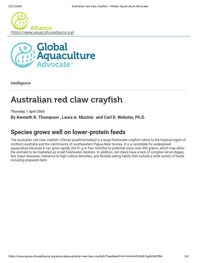 Australian Red Claw Crayfish | PDF