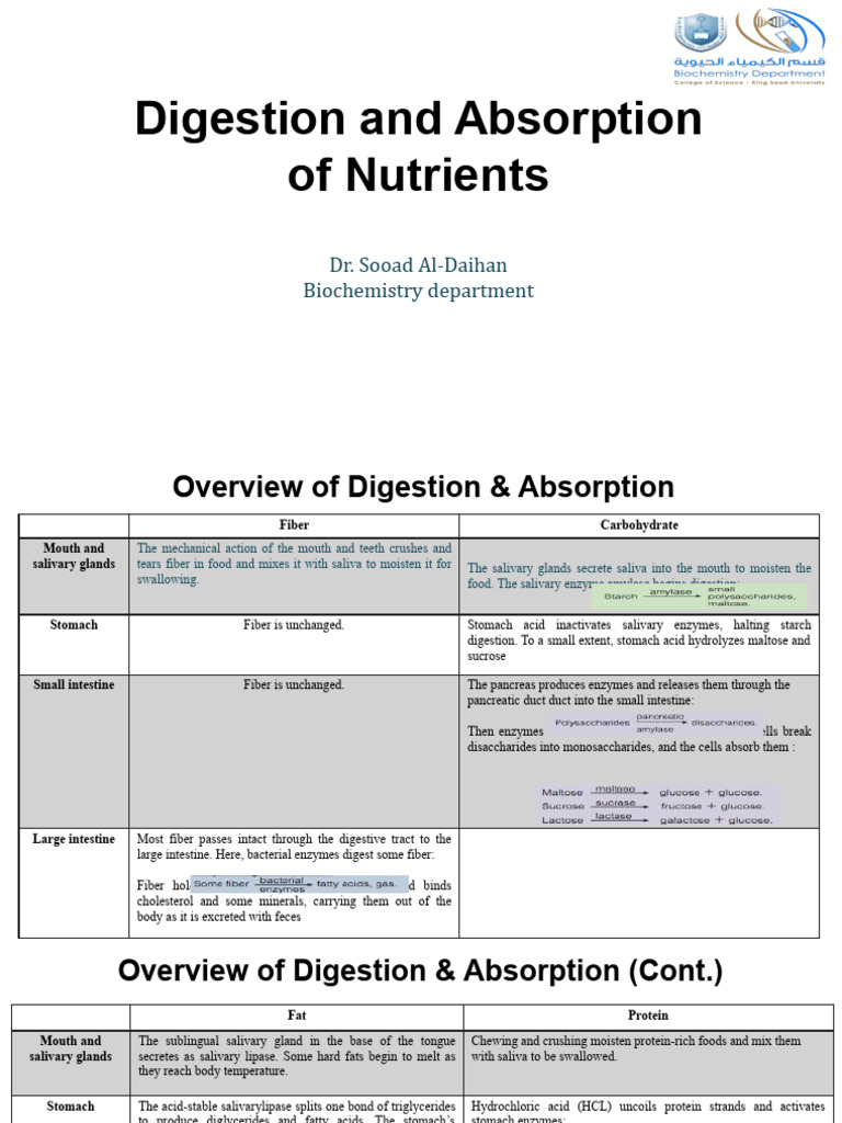 Digestion And Absorption Pdf Digestion Lipoprotein