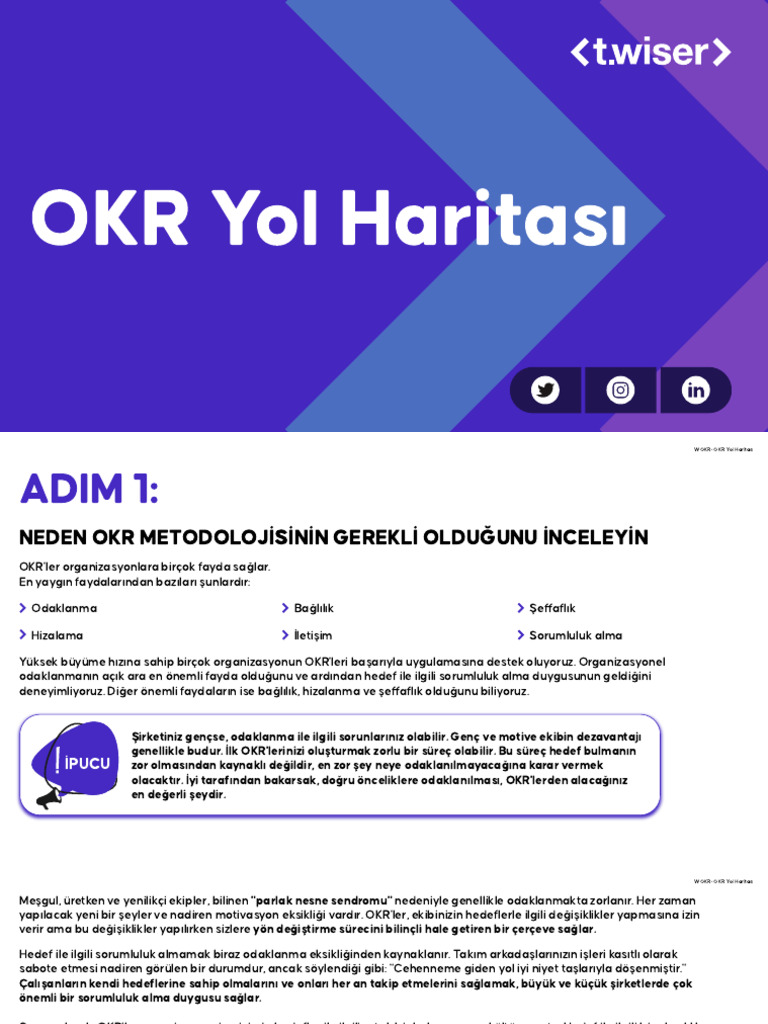 OKR Yol Haritasi | PDF
