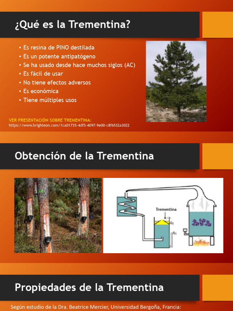 Que Es La Trementina | PDF | Infección | Medicina