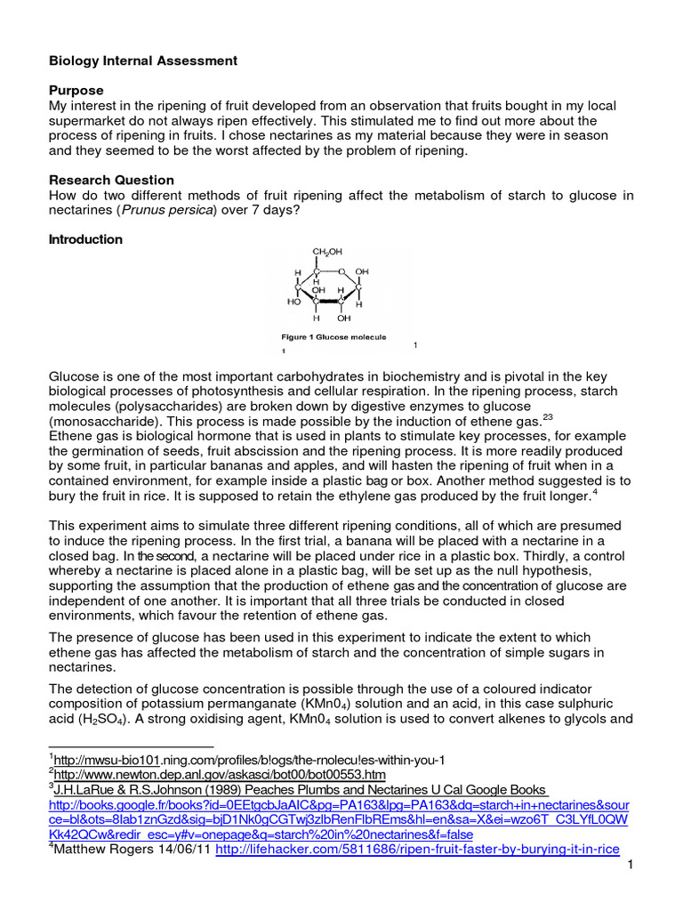 IA Fruit Ripening | PDF | Glucose | Experiment