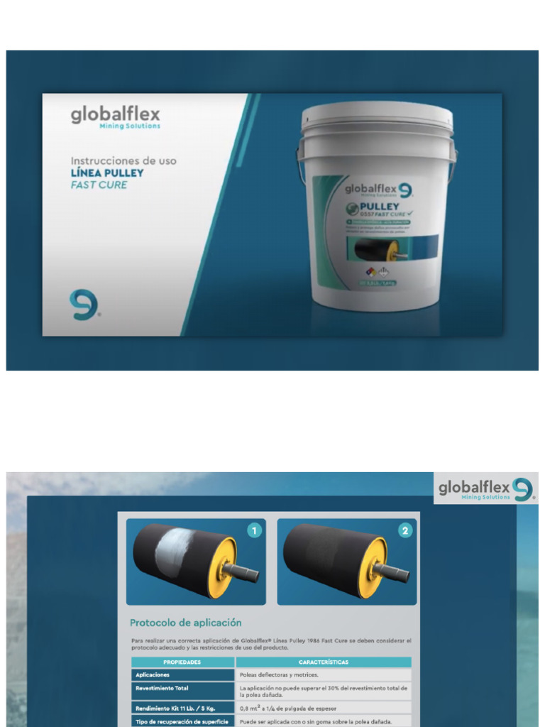 Globalflex Pulley Paso A Paso para Aplicacion | PDF