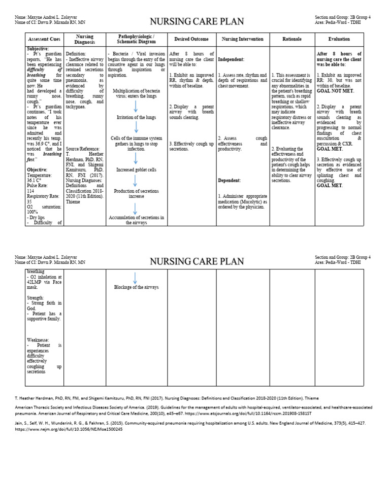 NCP - Ineffective Airway Clearance | PDF | Respiratory Tract | Clinical Medicine