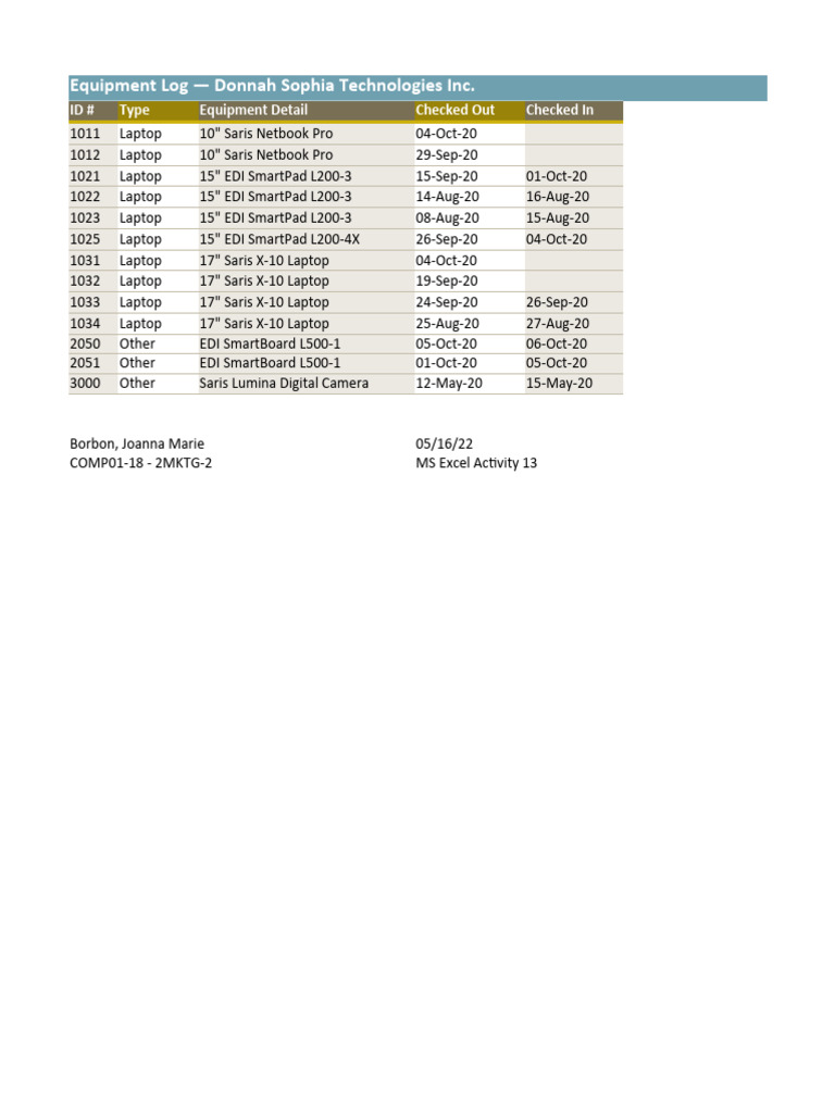 MS Excel Activity 13 - Output | PDF