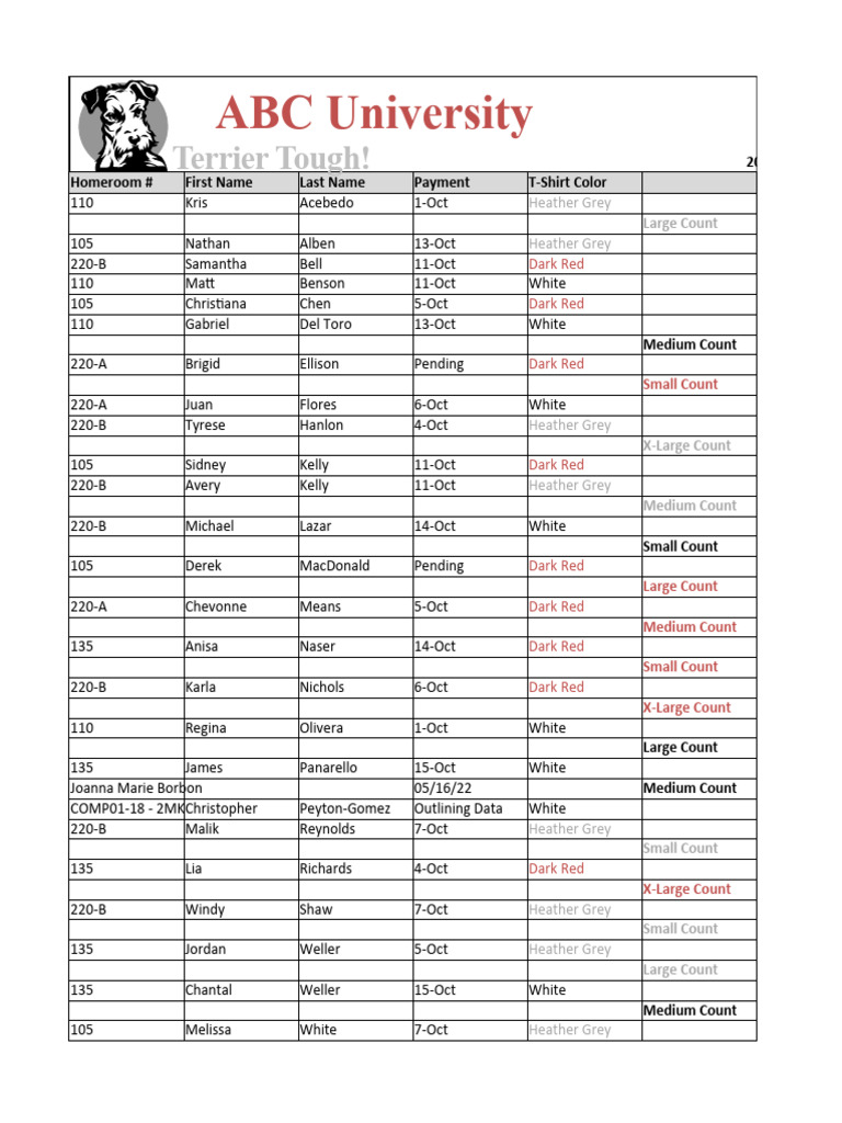 MS Excel Activity 12 - Output | PDF