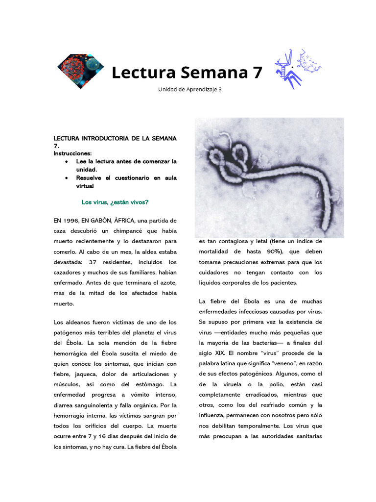 Lectura Virus Pdf Virus Influenza