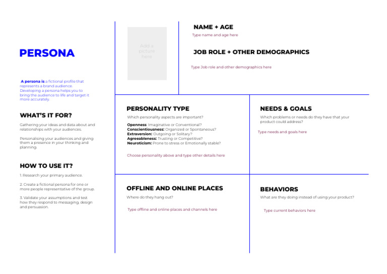 Psychographic Persona Canvas | PDF