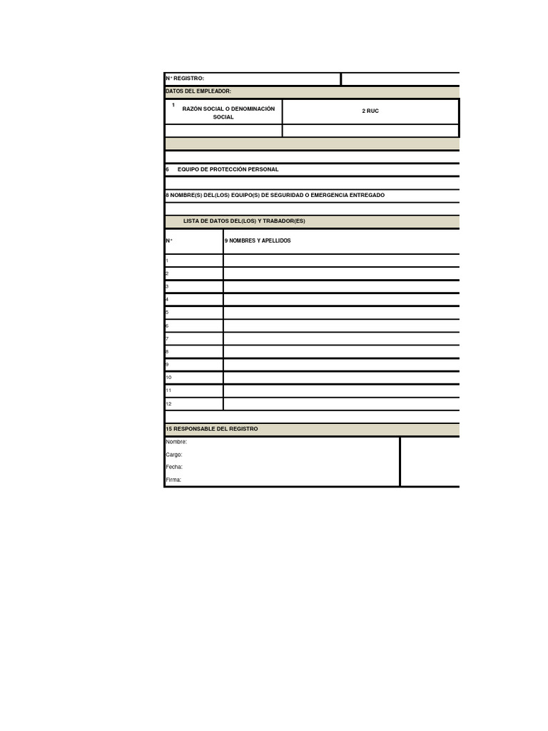 Formato de Recepeción de Epps | PDF