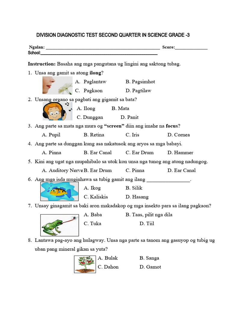 Grade 3 SCIENCE Q 2 Division Diagnostic | PDF