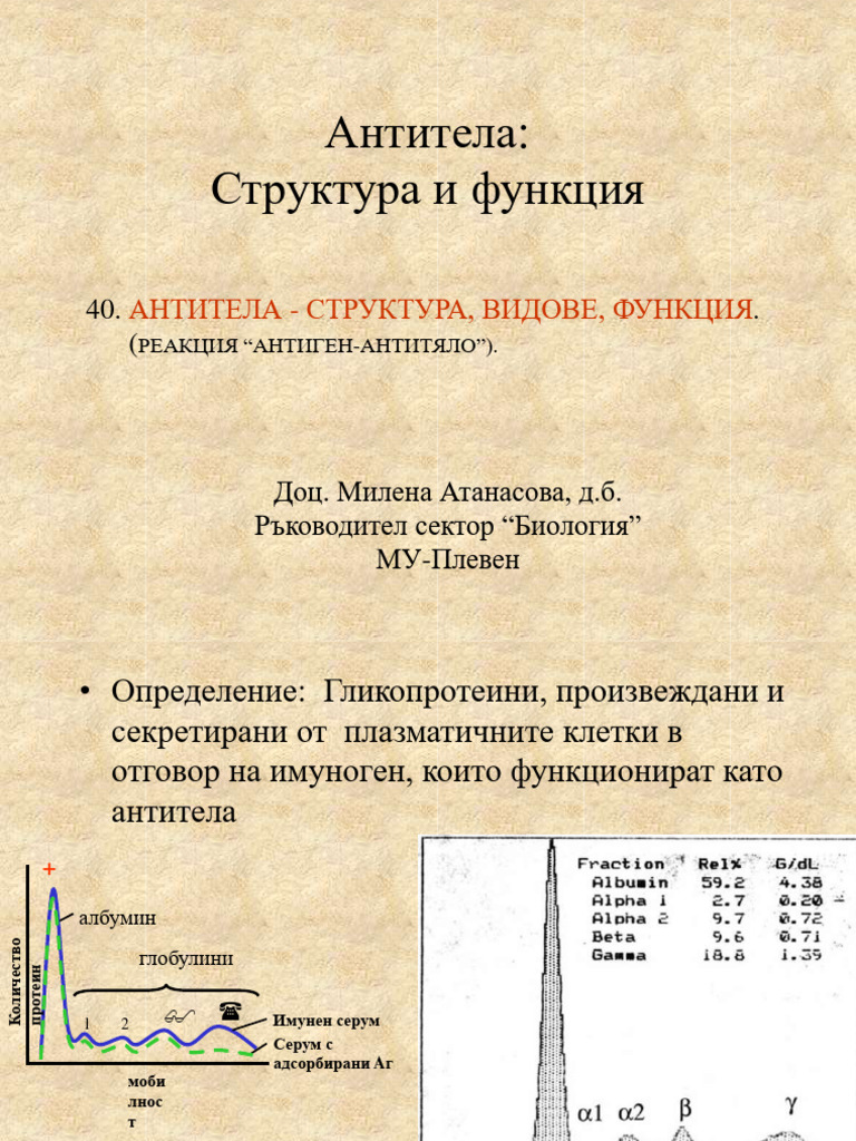 14-L BEO Antitela | PDF