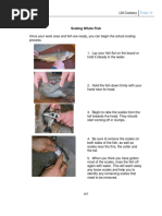 Essential Guide to Preparing Stocks | PDF | Stock (Food) | Cooking