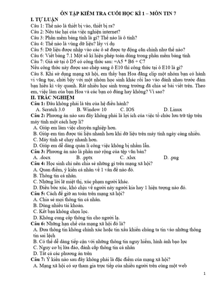 On Tap Kiem Tra Tin 7 - Hs | PDF