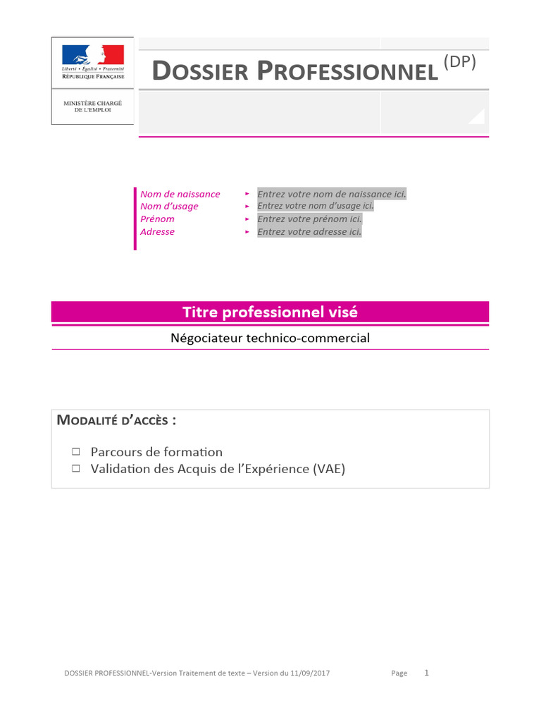 01-Modèle Dossier Professionnel NTC | PDF